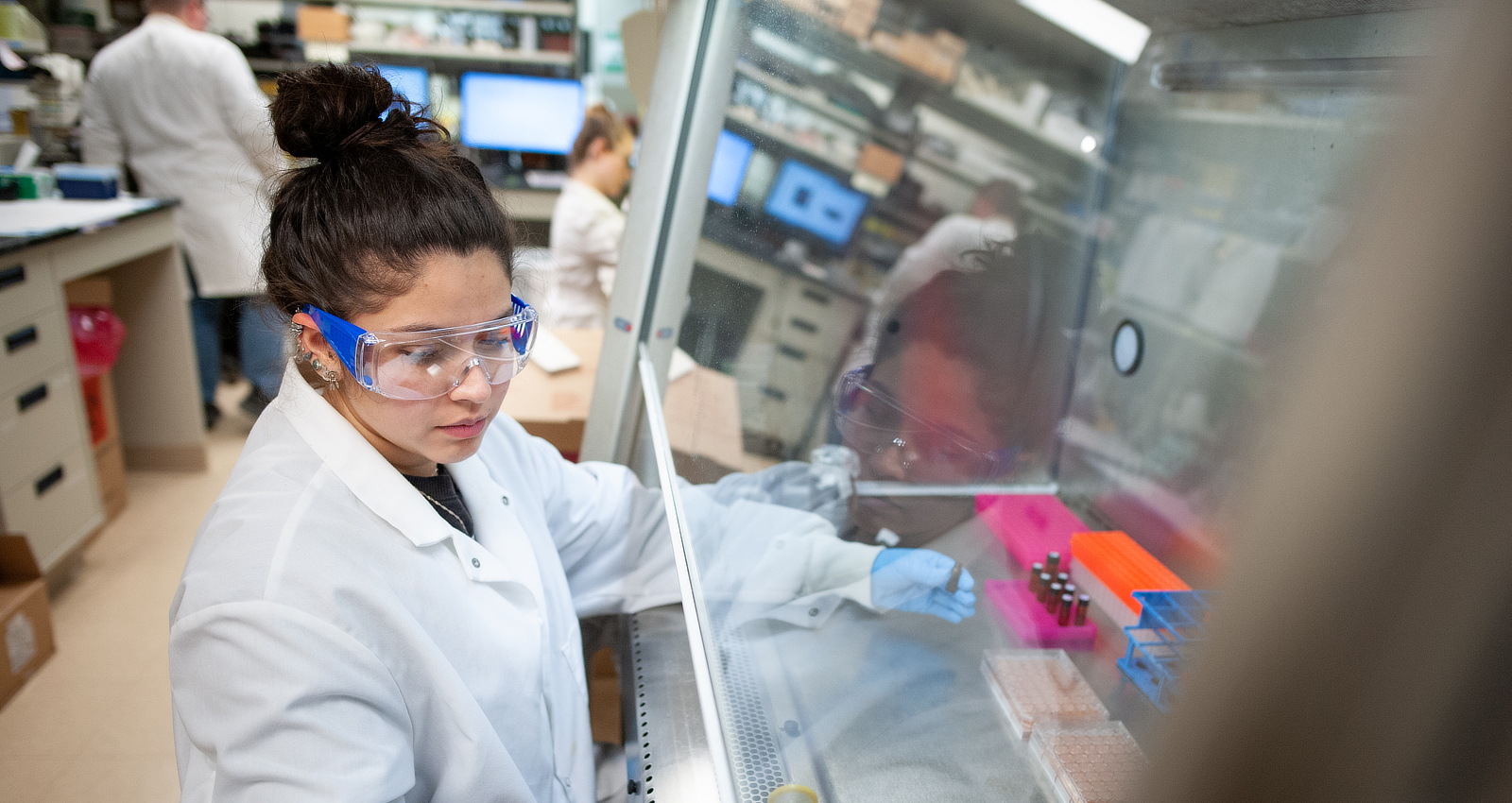 Biochemistry, B.S. - University of New Haven