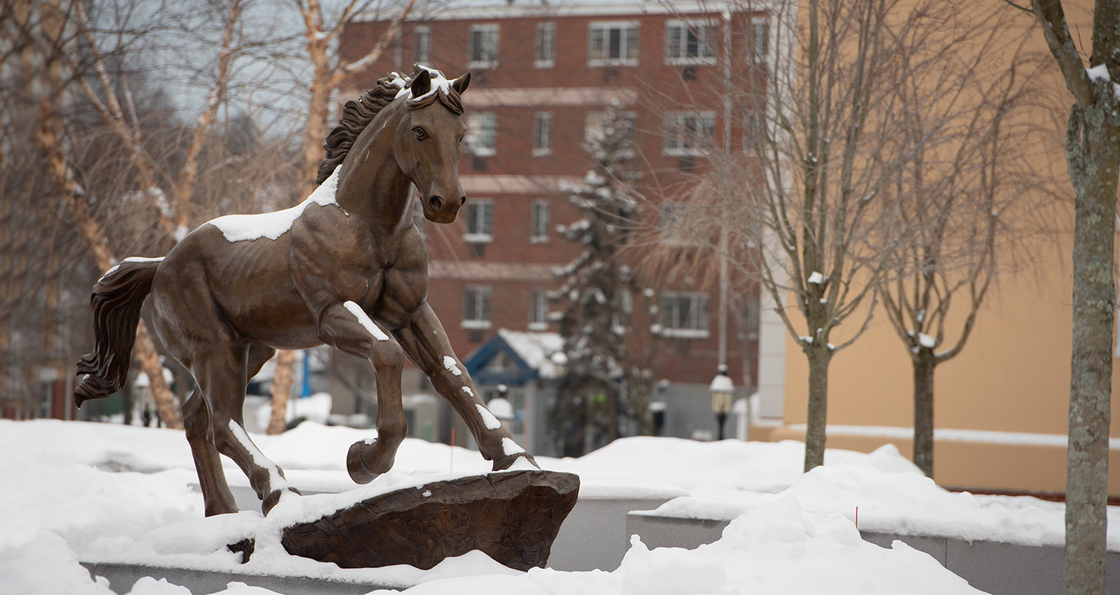 Home - University of New Haven