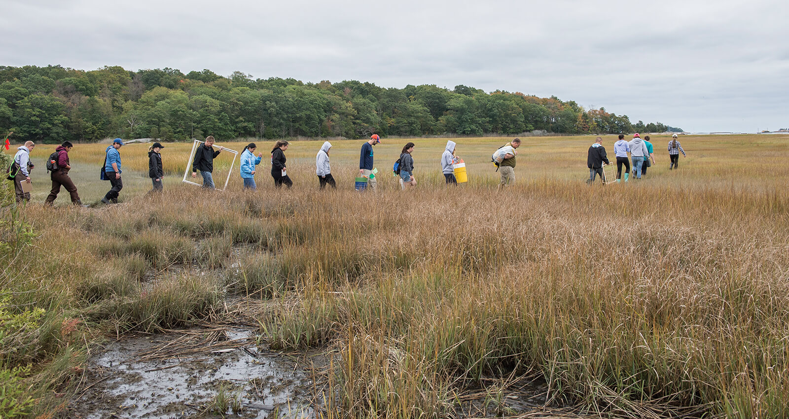 Environmental Science Faculty & Staff - University of New Haven