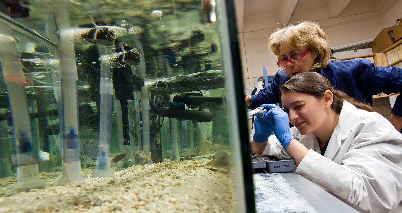 Student Fellowships and Research - University of New Haven